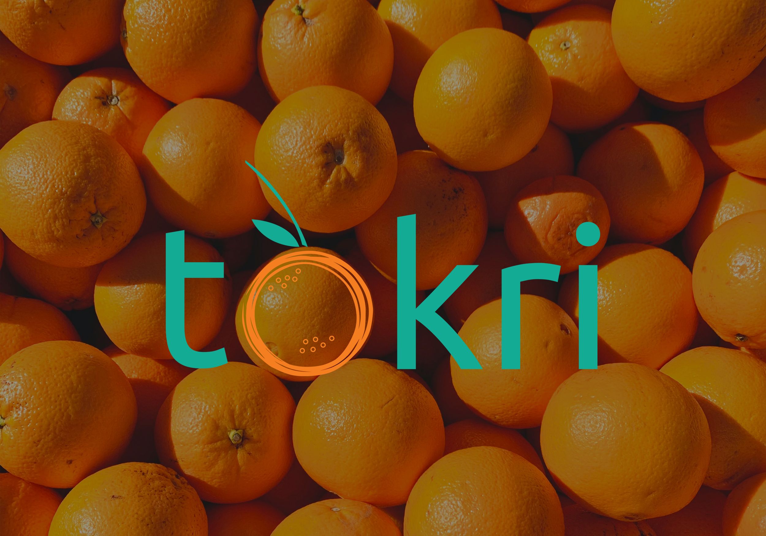 Website Design and Development For Tokri | nDimensions Studio