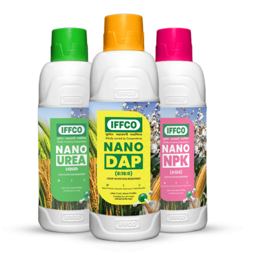 Client Portfolio | nDimensions Studio